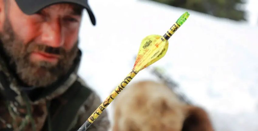 Arrow FOC: 5 Steps to a Perfect Front of Center Setup - Archery Supplier